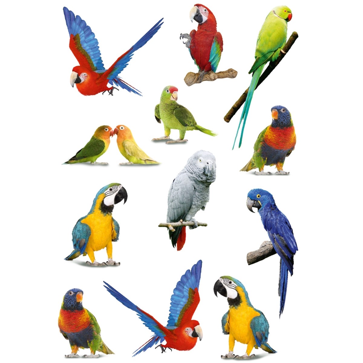 HERMA 3266 - Magic Sticker, Papageien, Puffy