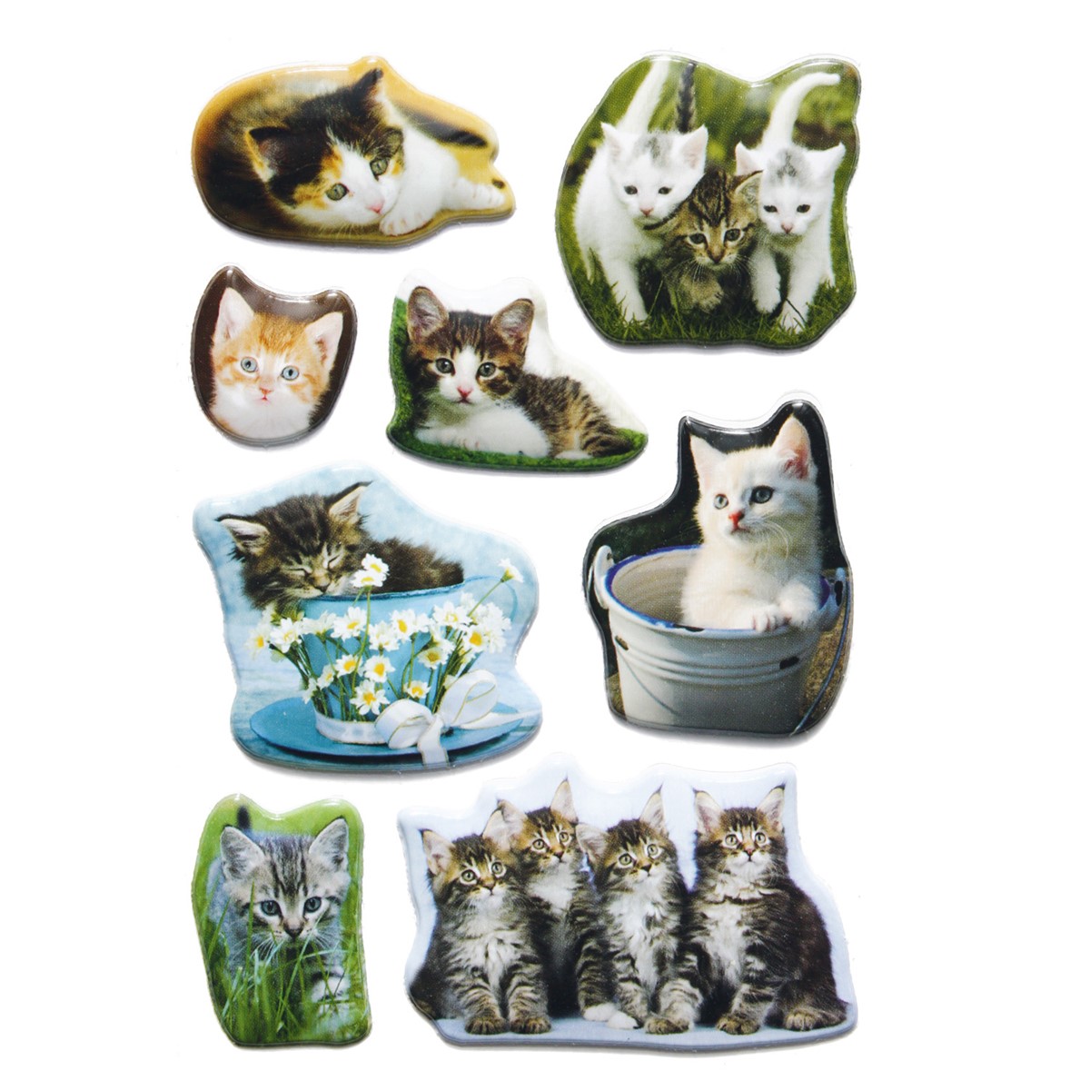 HERMA 6196 - Magic Sticker, Tierfotos Katzen, Lackpuffy